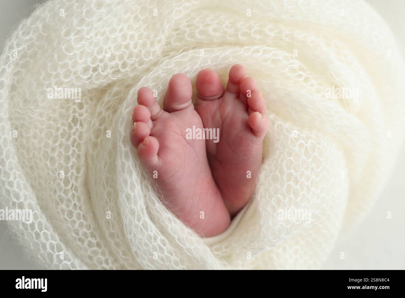 The tiny foot of a newborn. Soft feet of a newborn in a white woolen ...