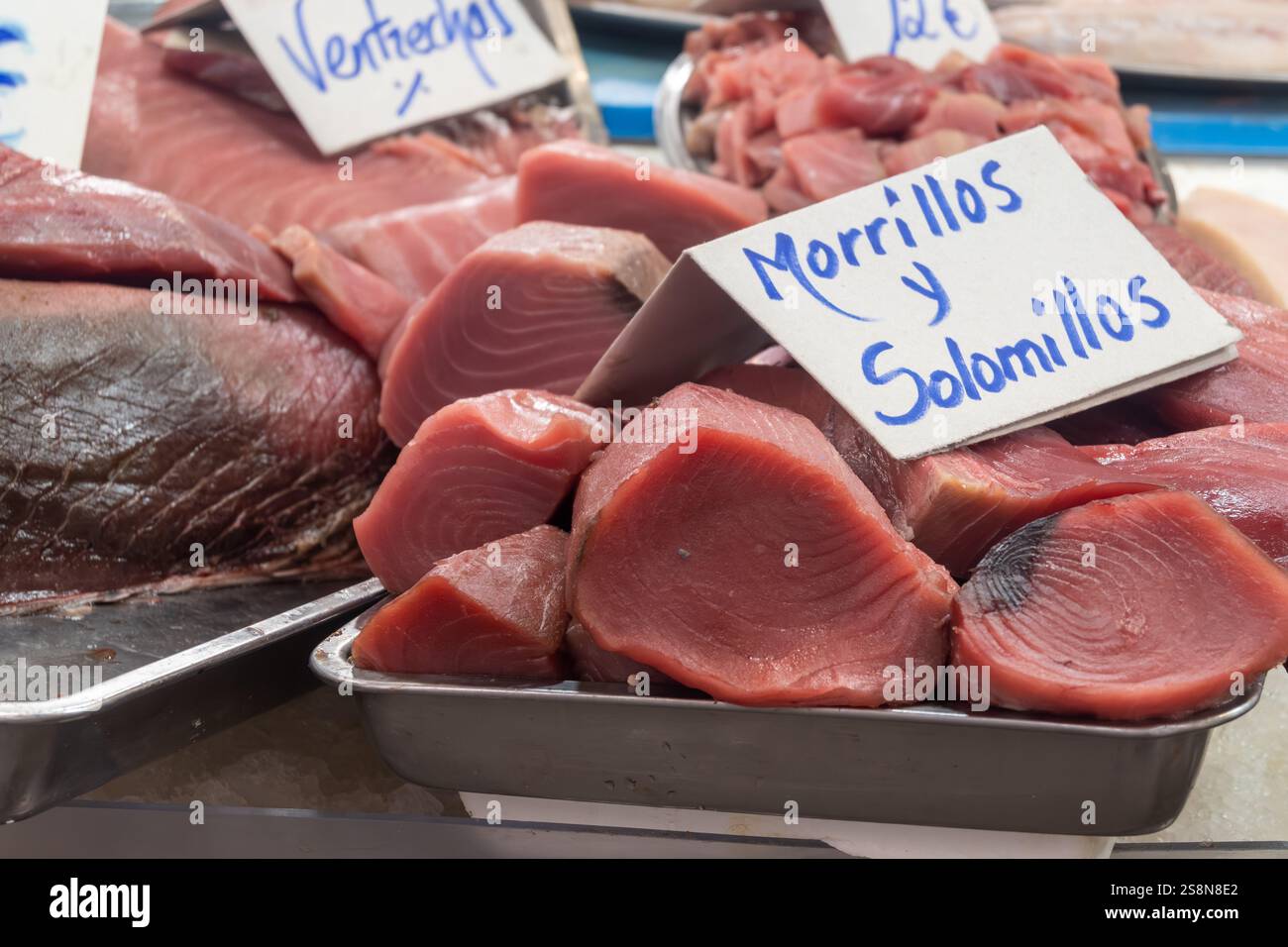 Assortment of fresh ocean daily catch of tuna, cazon, sharks, fish ...