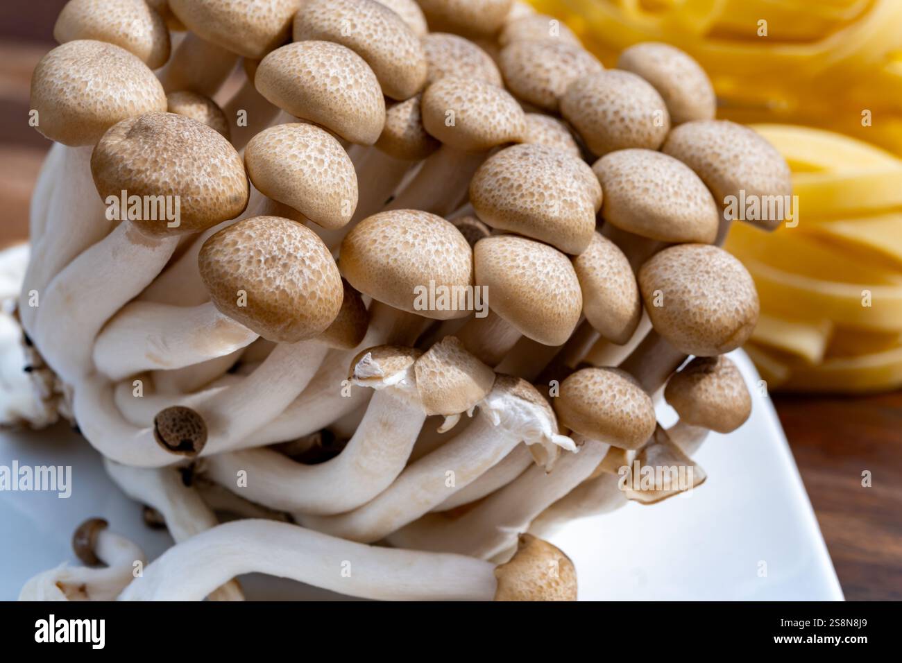 Fresh brown shimeji edible mushrooms native to East Asia, buna-shimeji ...
