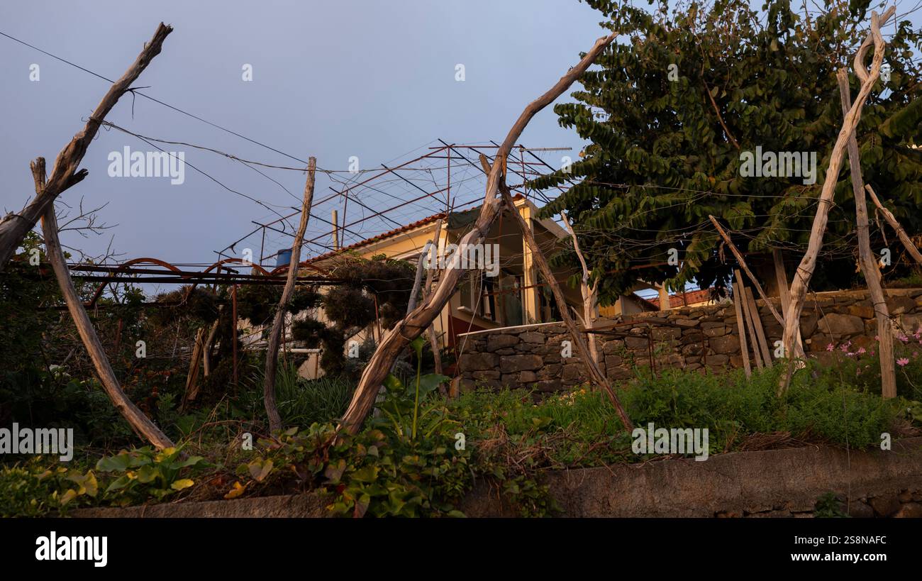 An old rural house with a makeshift wooden trellis structure ...