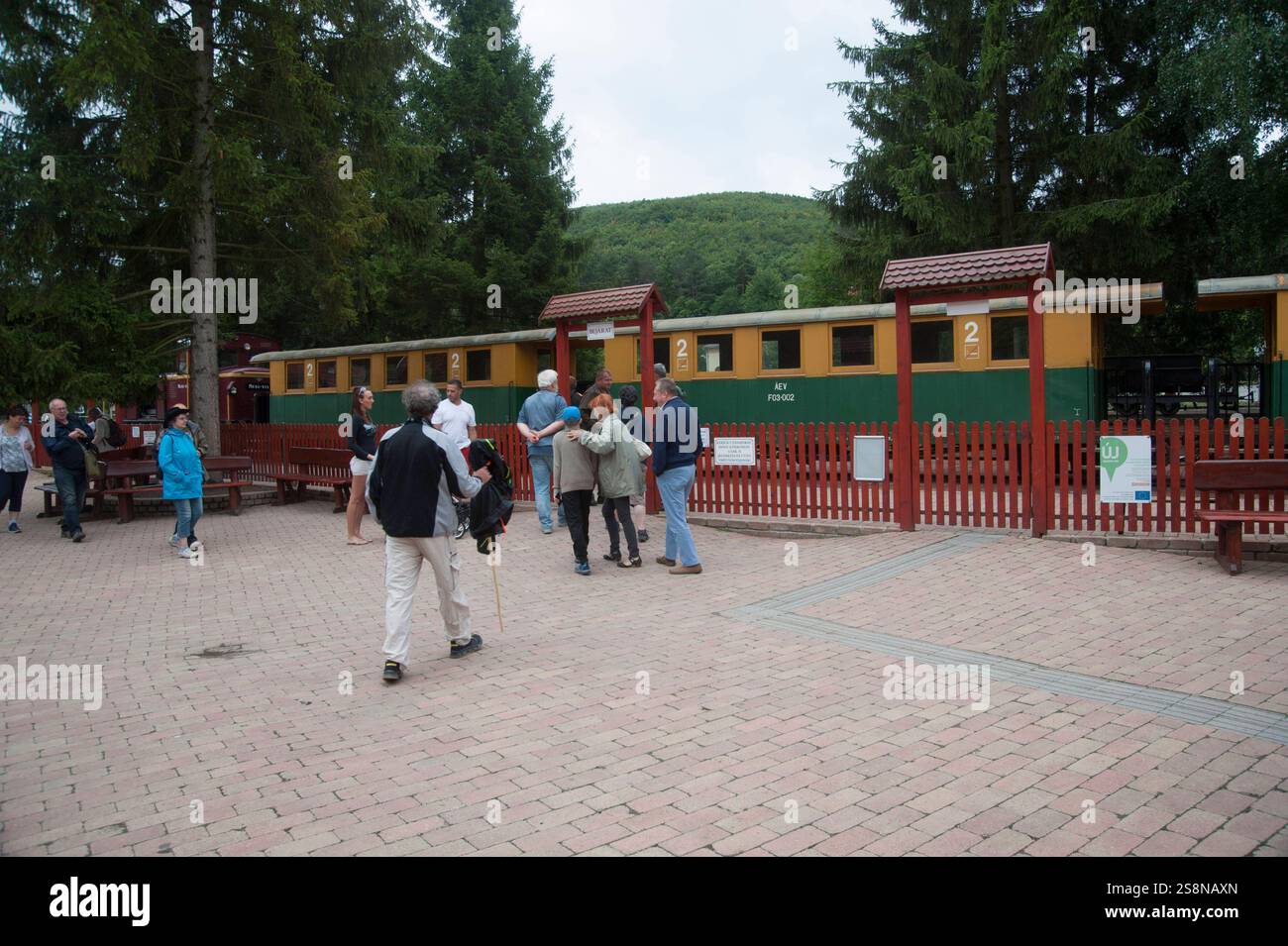 local railroad or regional railroad, public transportation and travel ...