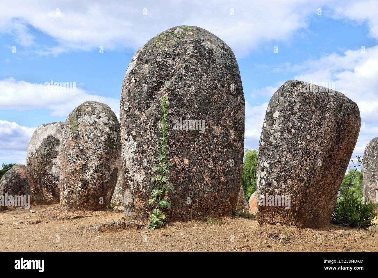 Almendres Cromlech megalith stones in Portugal. Stone circle of ...