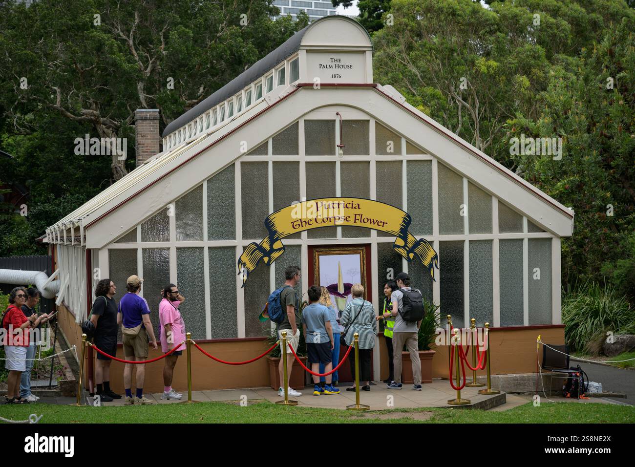 Hundreds of visitors seen queuing up to witness the blossom of the ...