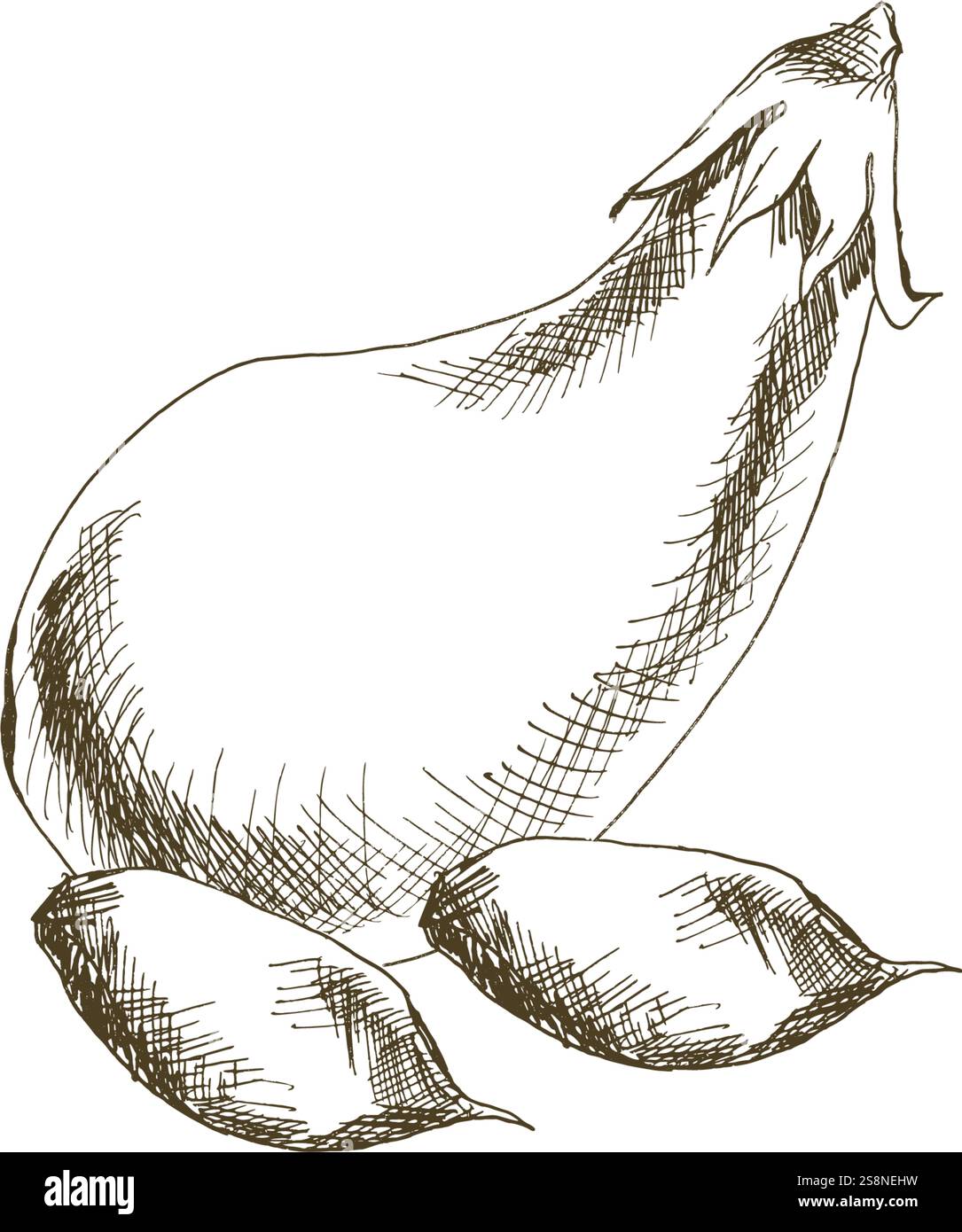 Health food shop in Cut Out Stock Images & Pictures - Alamy