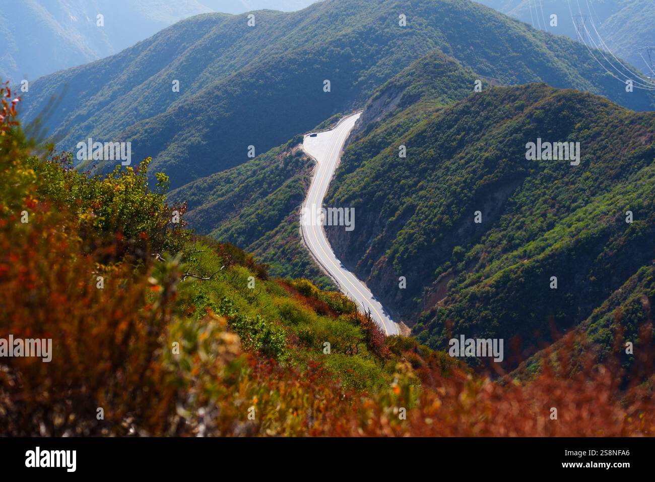 Scenic hiking trail revealing winding road amidst lush greenery in ...