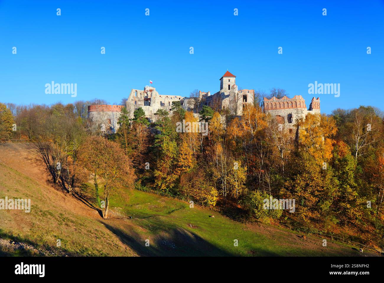 Tenczyn ruined castle in Polish Jura. Medieval castle on Trail of the ...