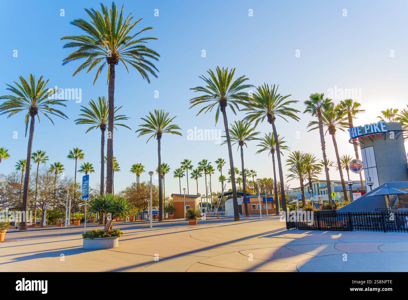Long Beach, California - January 15, 2025: Beautiful view of palm trees ...
