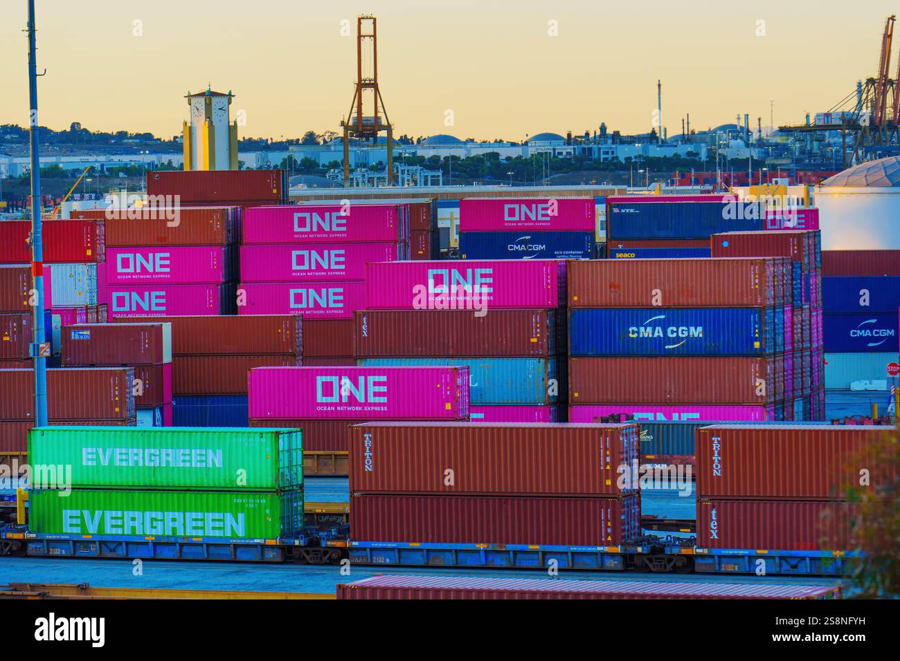 Long Beach, California - January 15, 2025: Vibrant arrangement of ...