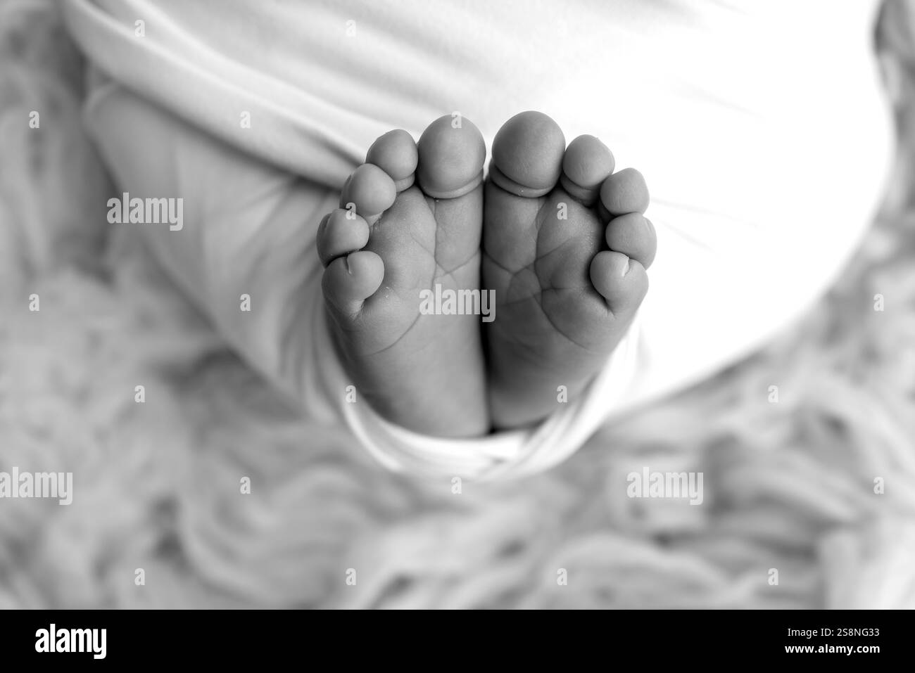 The tiny foot of a newborn baby. Soft feet of a new born in a wool ...