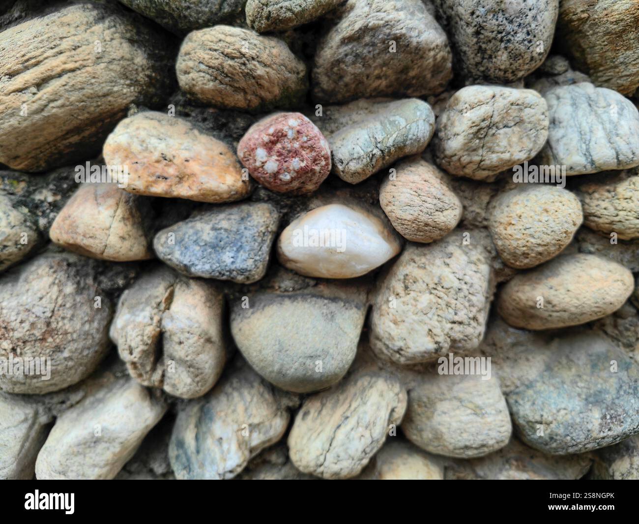 Beauty decorative hi-res stock photography and images - Alamy