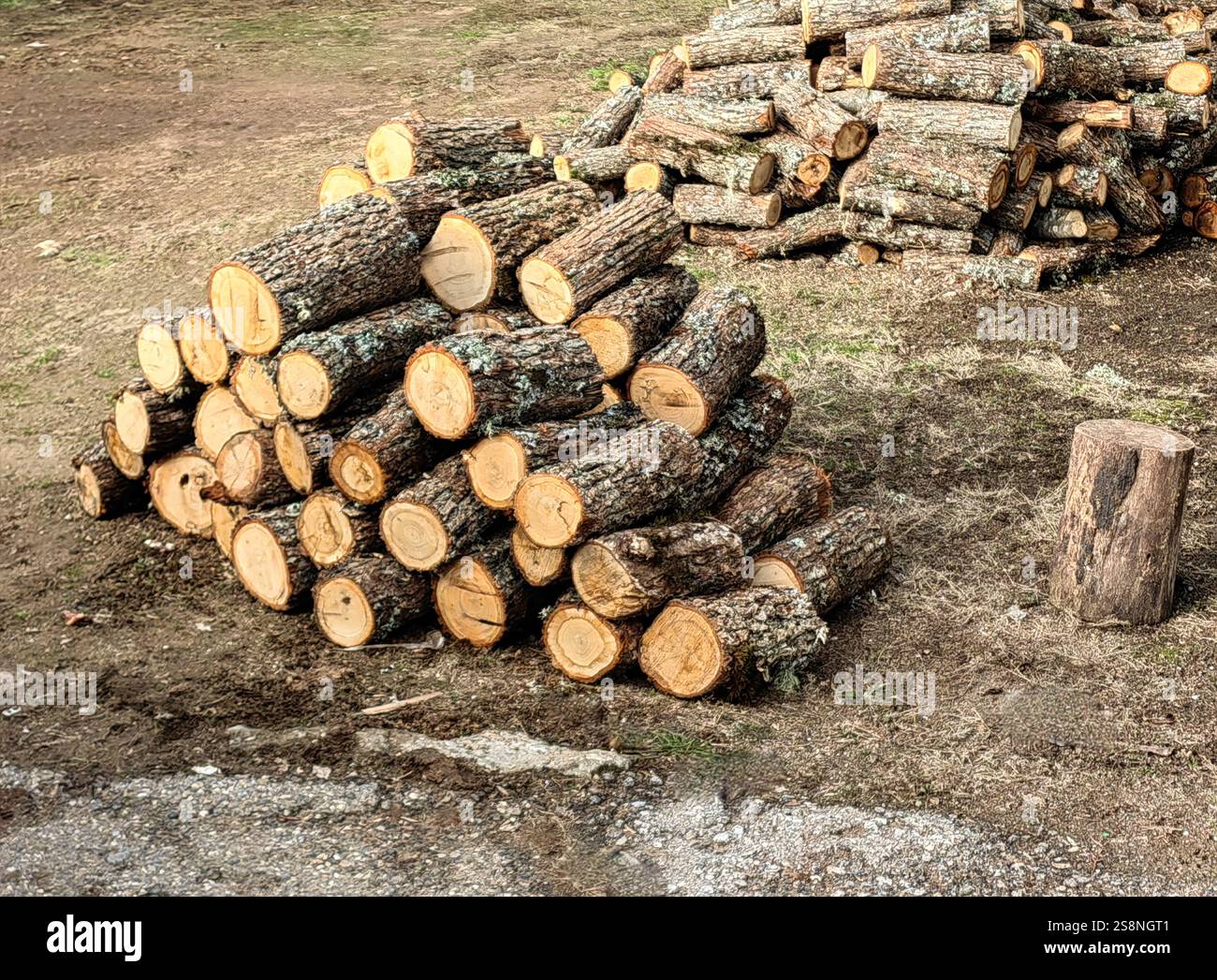 Winter lifestyle in home hi-res stock photography and images - Alamy