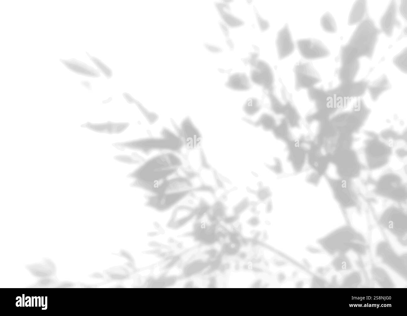 The shadow of many tree leaves on a white wall. Black and white image ...