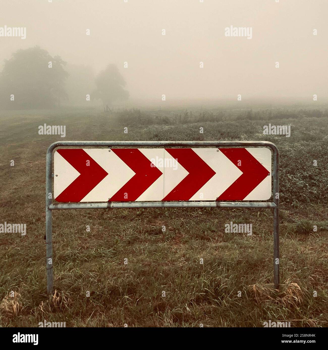 Kurve Rechts, Nebel, Verkehr, Verkehrsschild, Richtungswechsel, Schild ...