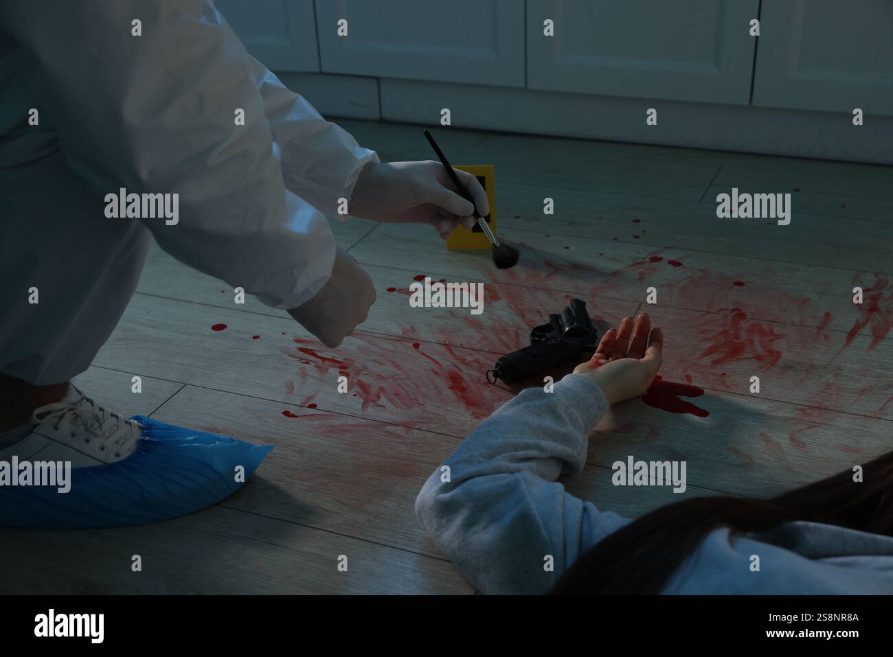 Forensic expert taking fingerprints with brush from gun and dead woman's body at crime scene ...