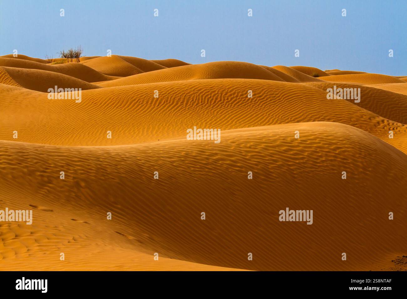 Background .The Sahara desert. Sand dunes of Grand Erg Oriental near ...