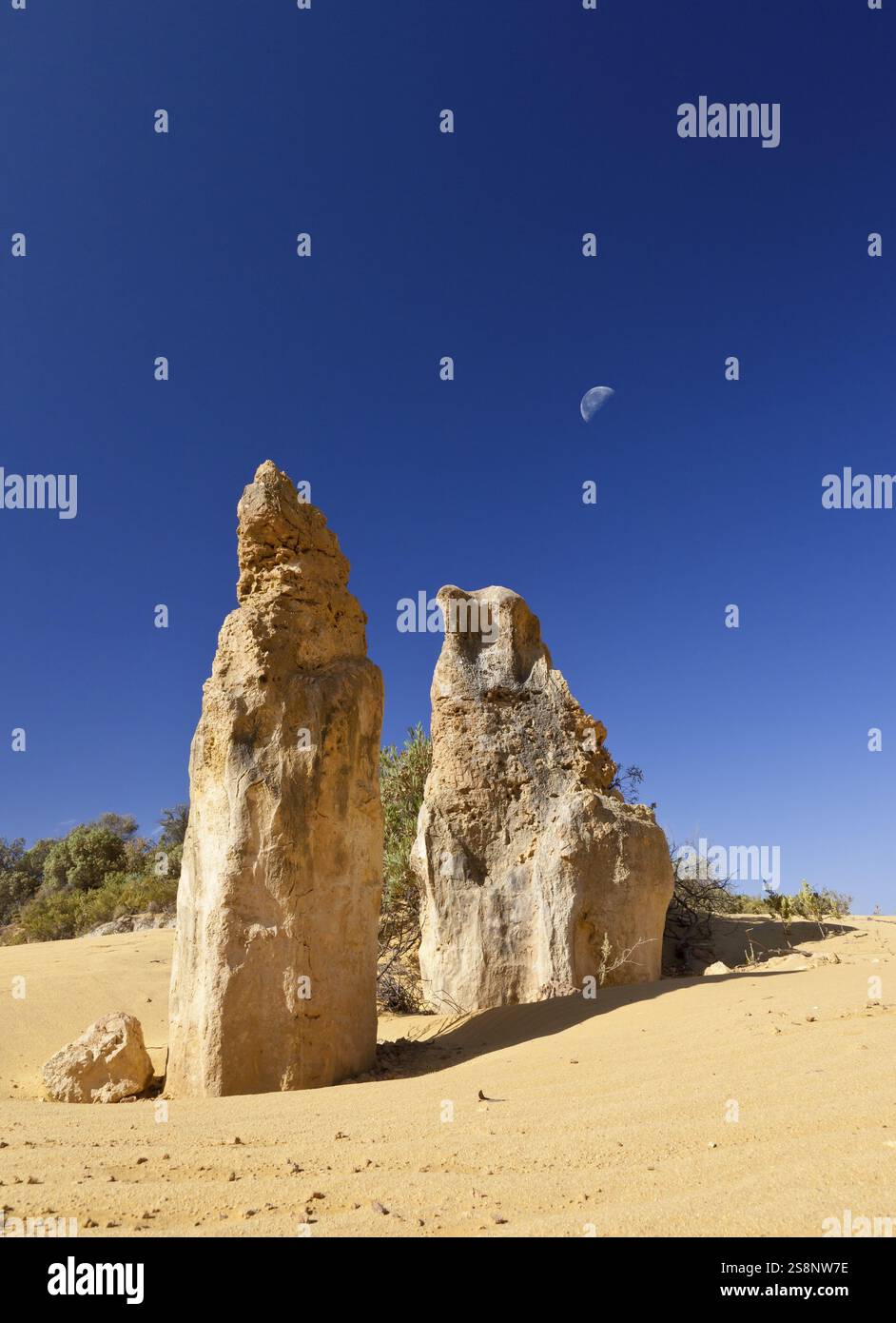 An image of the strange desert Pinnacles in Australia Stock Photo - Alamy
