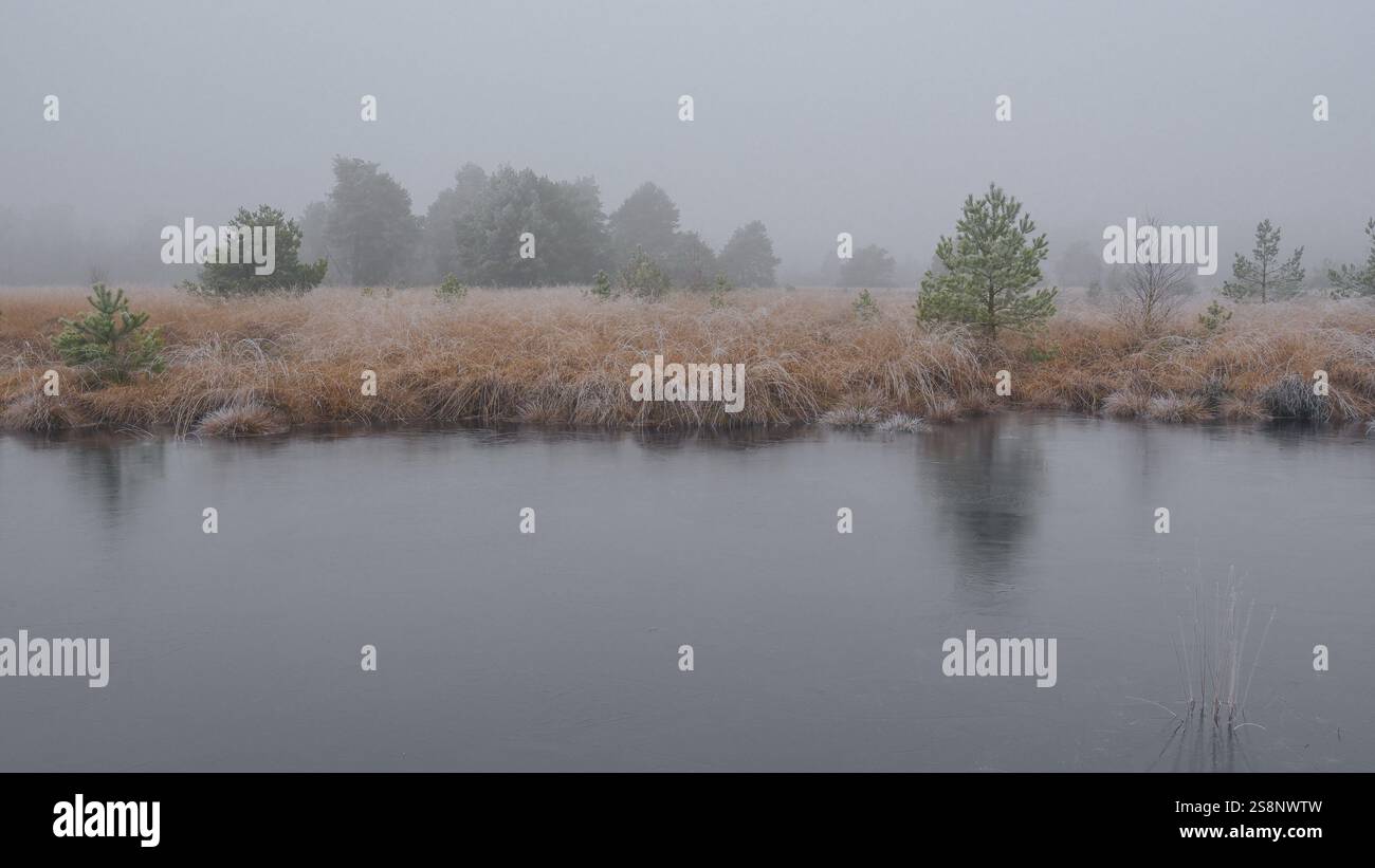 View of a frozen pond in the moor with hoarfrost frozen vegetation ...