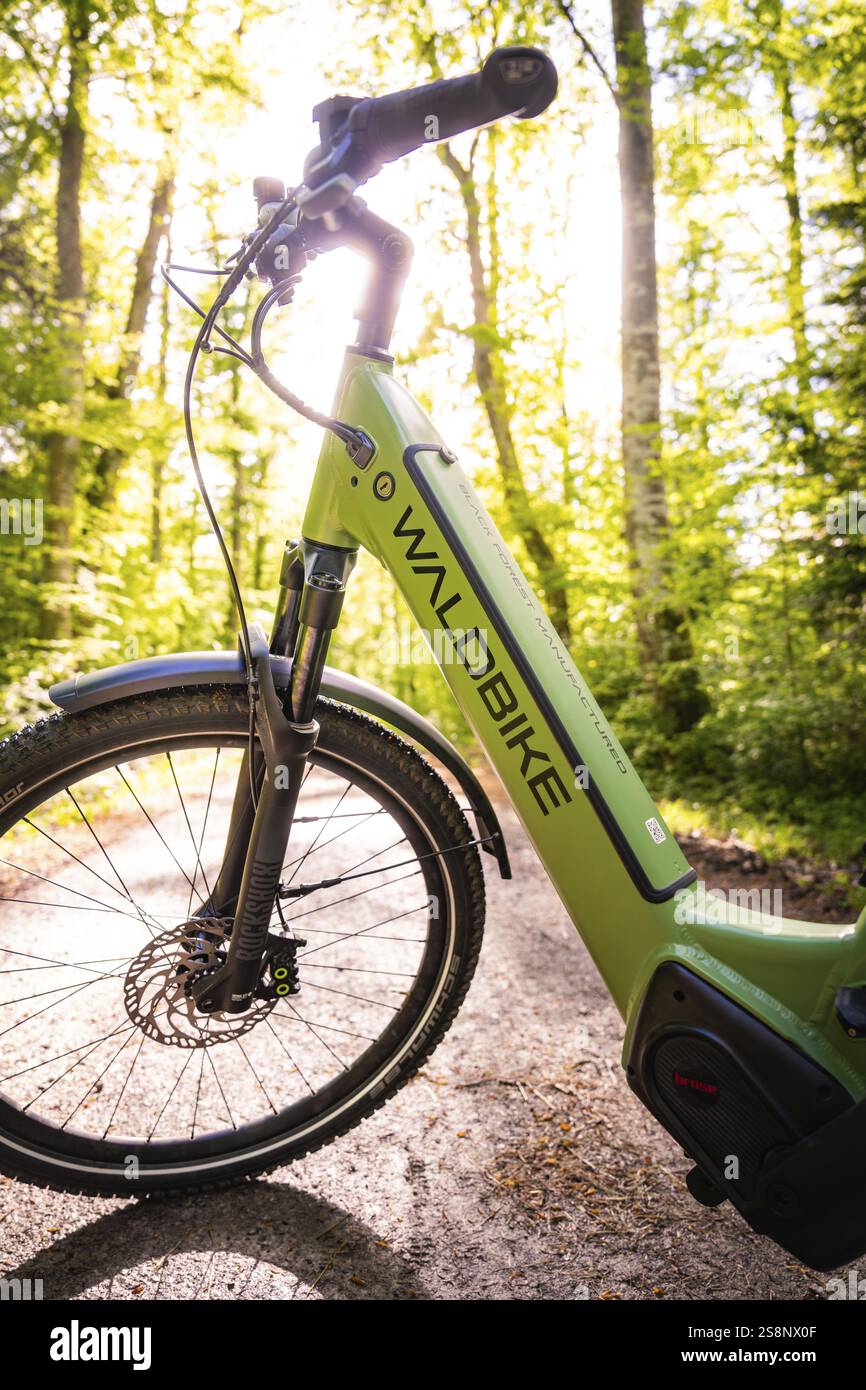 Green e-bike on a forest path in sunshine and natural surroundings, e-bike, forest bike, Calw ...