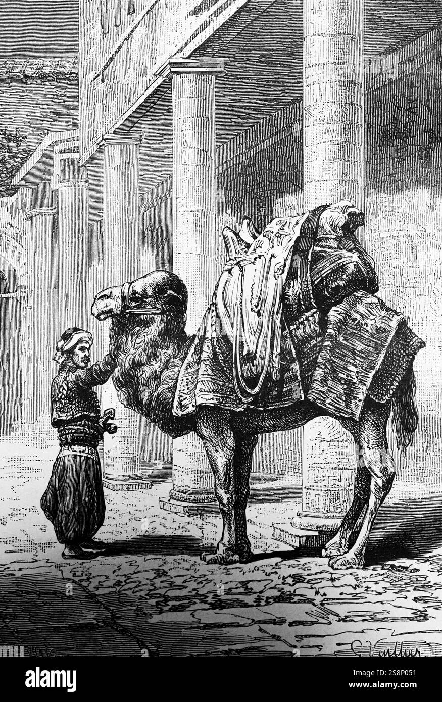 Loaded camel in Smyrna or Izmir, street, building with portico, camel ...