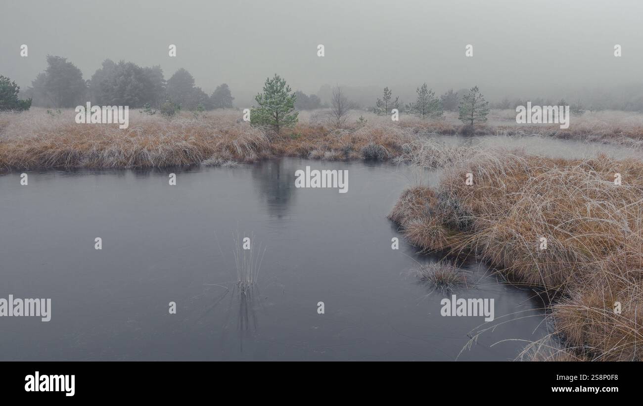 View of a frozen pond in the moor with hoarfrost frozen vegetation ...