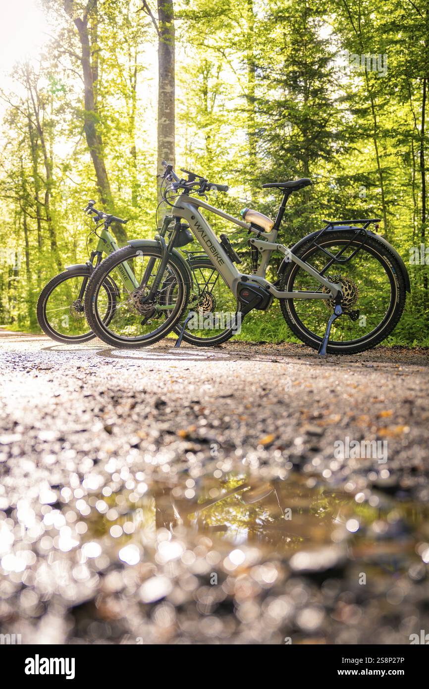 Two e-bikes on a forest path with sunlight and shadow effects, e-bike ...
