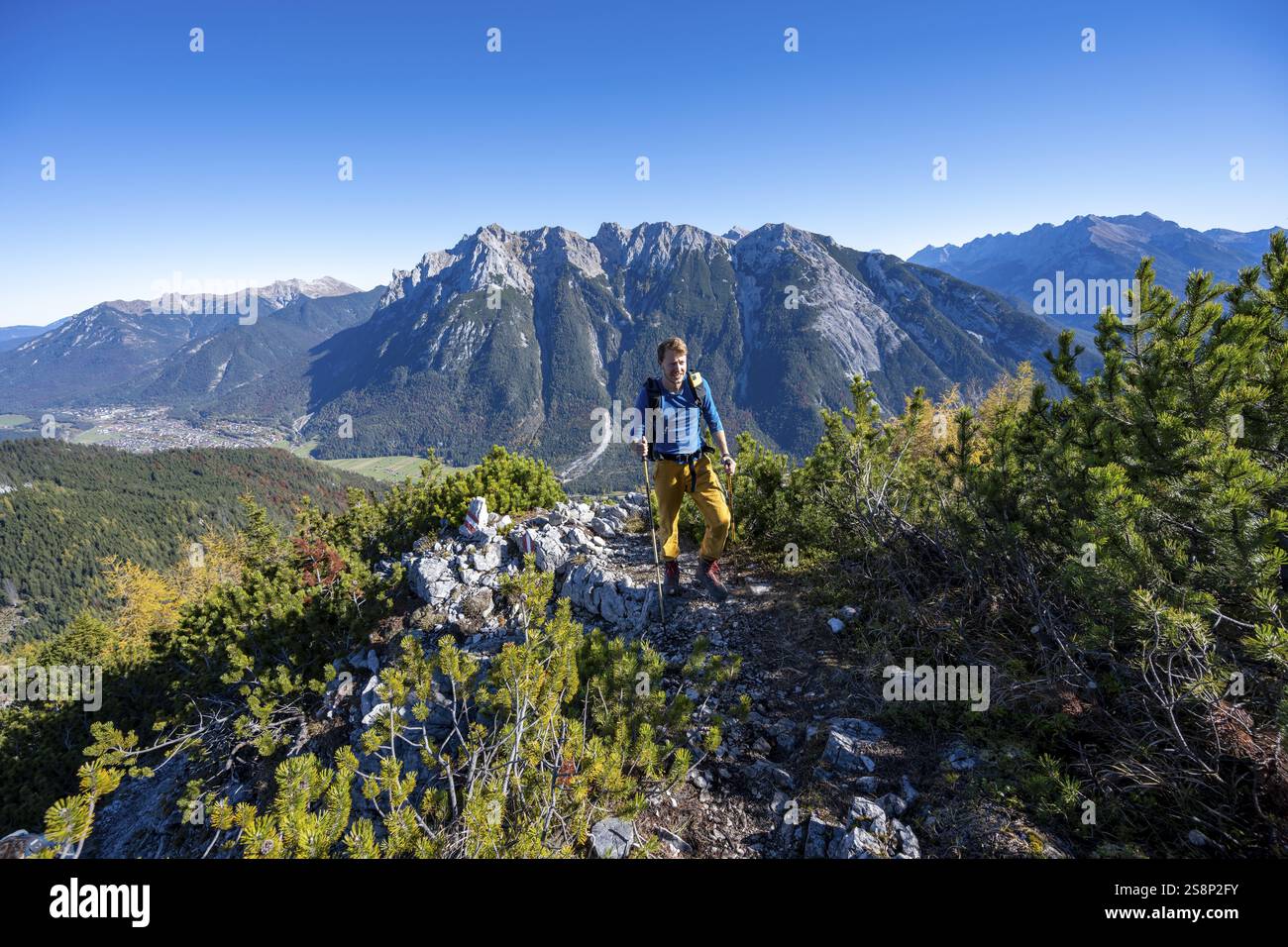 Mountaineer on a hiking trail between mountain pines, autumnal mountain ...