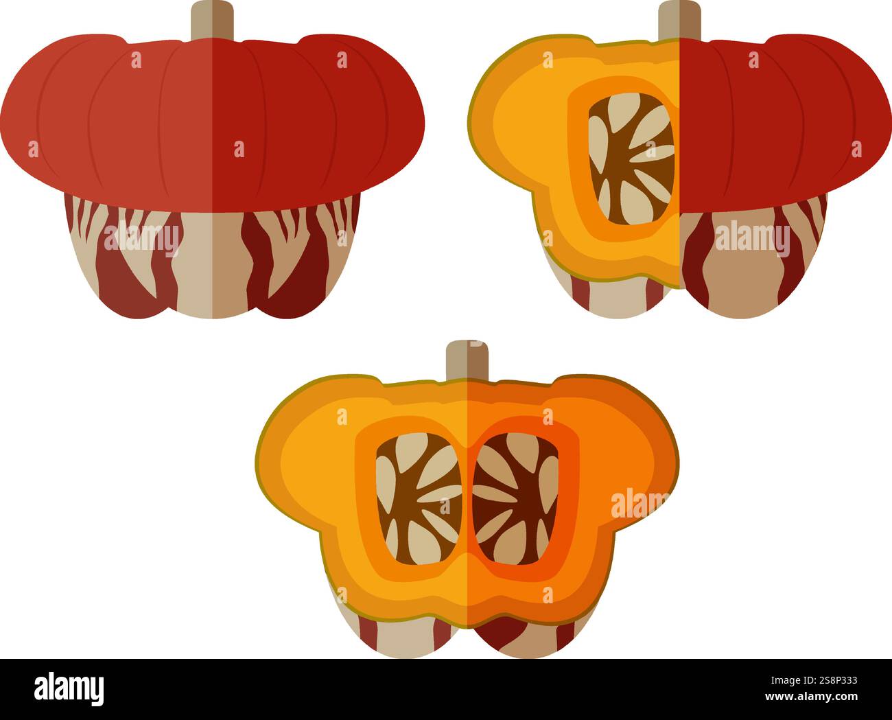 Set of Turban Squash or Turk s Turban. Winter squash. Cucurbita maxima ...