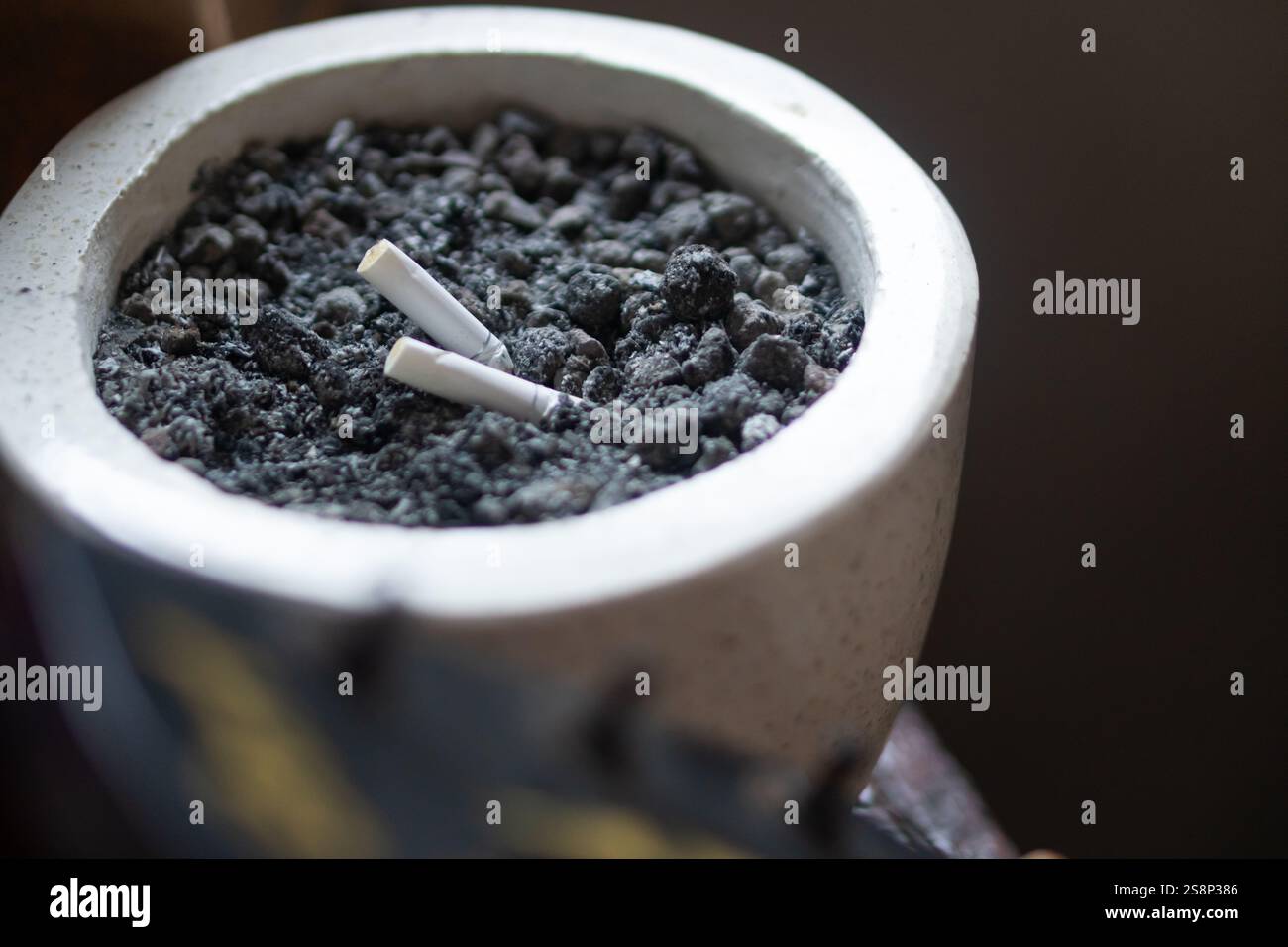 A close-up of a small potted plant with ash and two cigarette butts ...