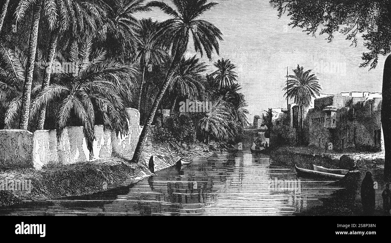 Wide canal near Baghdad, oasis, palm garden, buildings, boats ...