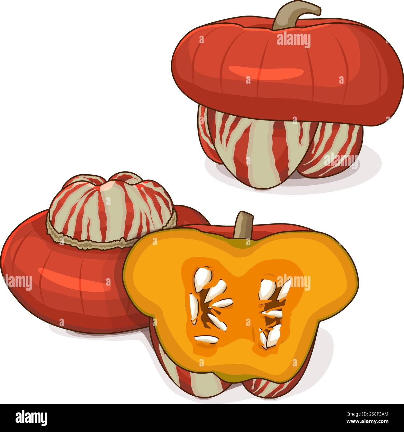 Whole and chopped Turban Squash or Turk s Turban. Winter squash. Cucurbita maxima. Vegetables ...