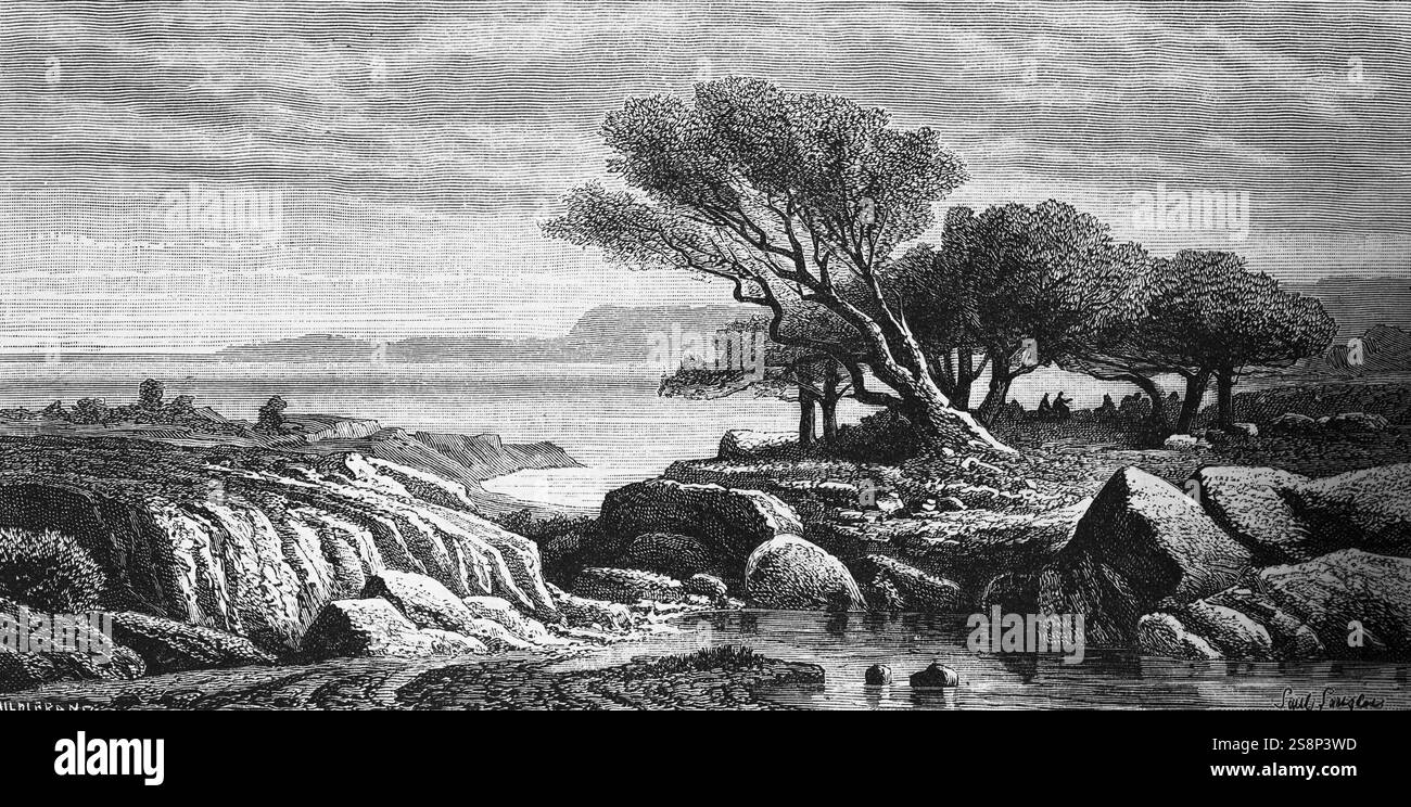 Western shore of the Dead Sea, extreme salinity, lake without outlet ...