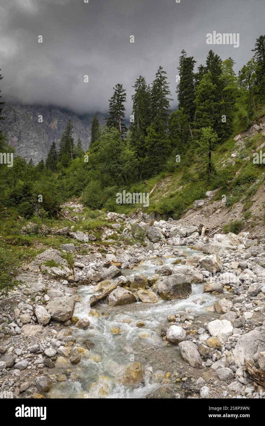 Stream in Enger-Grund in summer, behind it the Laliderer walls, Enger ...