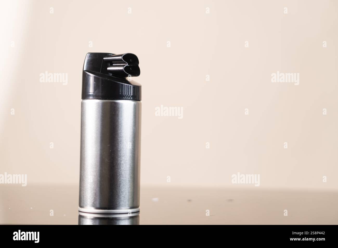 A sleek, silver spray canister with a black nozzle, placed on a ...