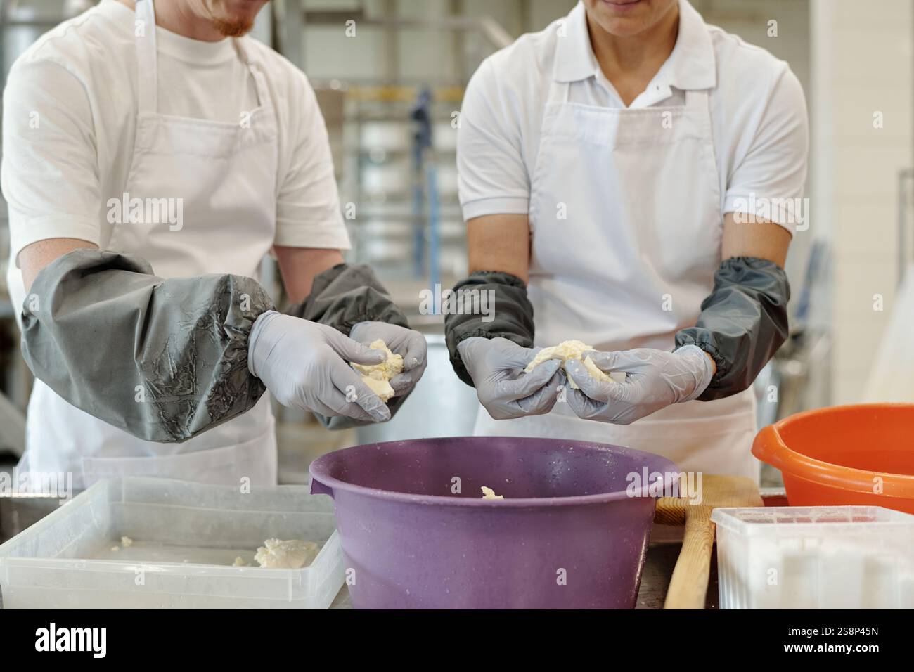 Workers in clean kitchen environment, wearing protective gloves and ...