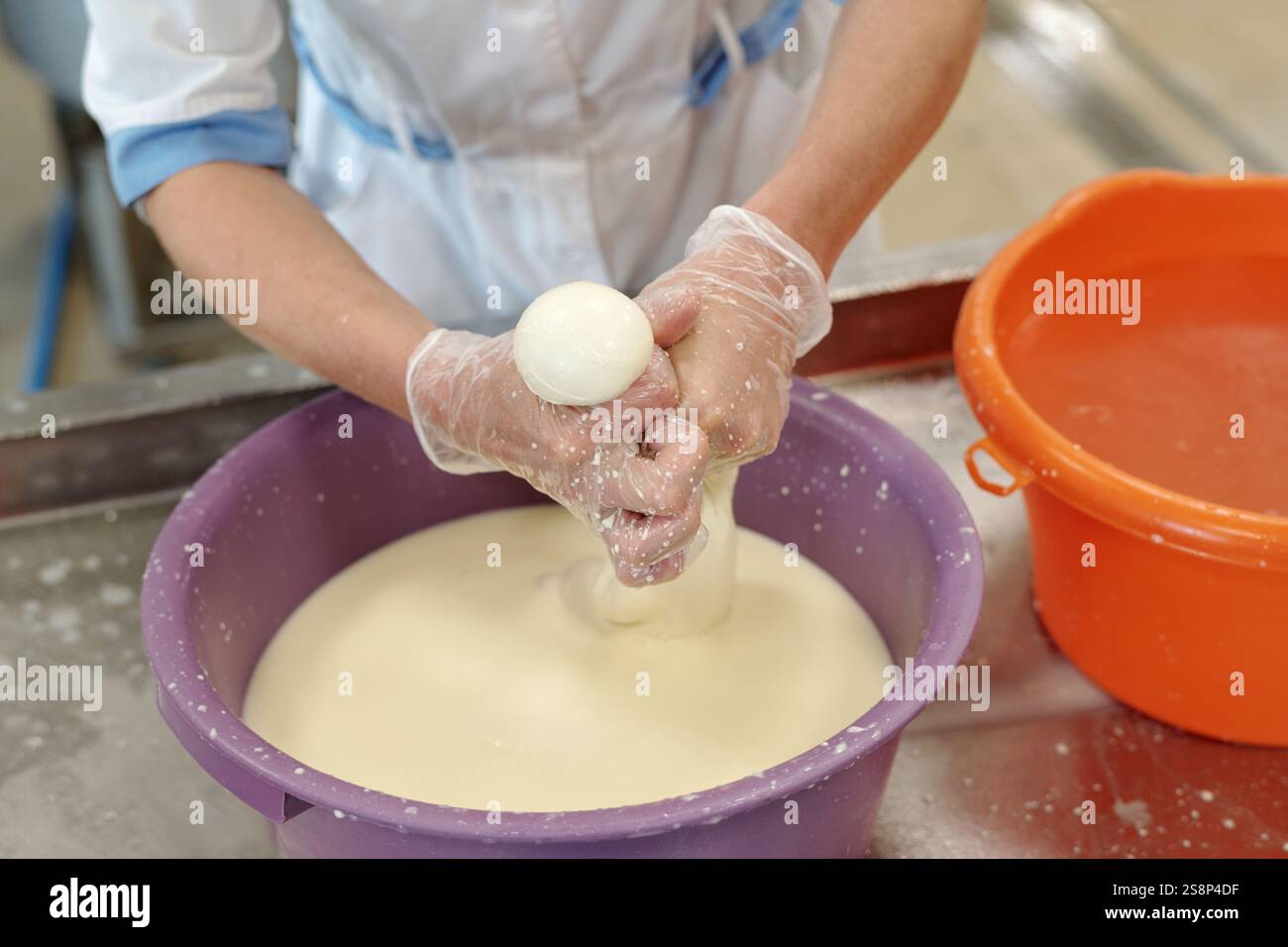 Person wearing glove is shaping fresh cheese in dairy facility using ...