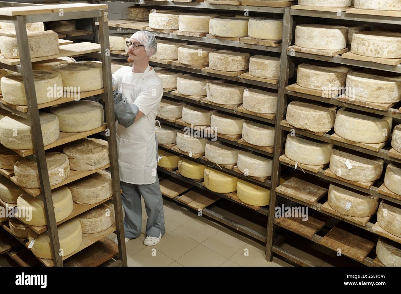 Quality check being done on shelf-ripened cheese wheels in well ...