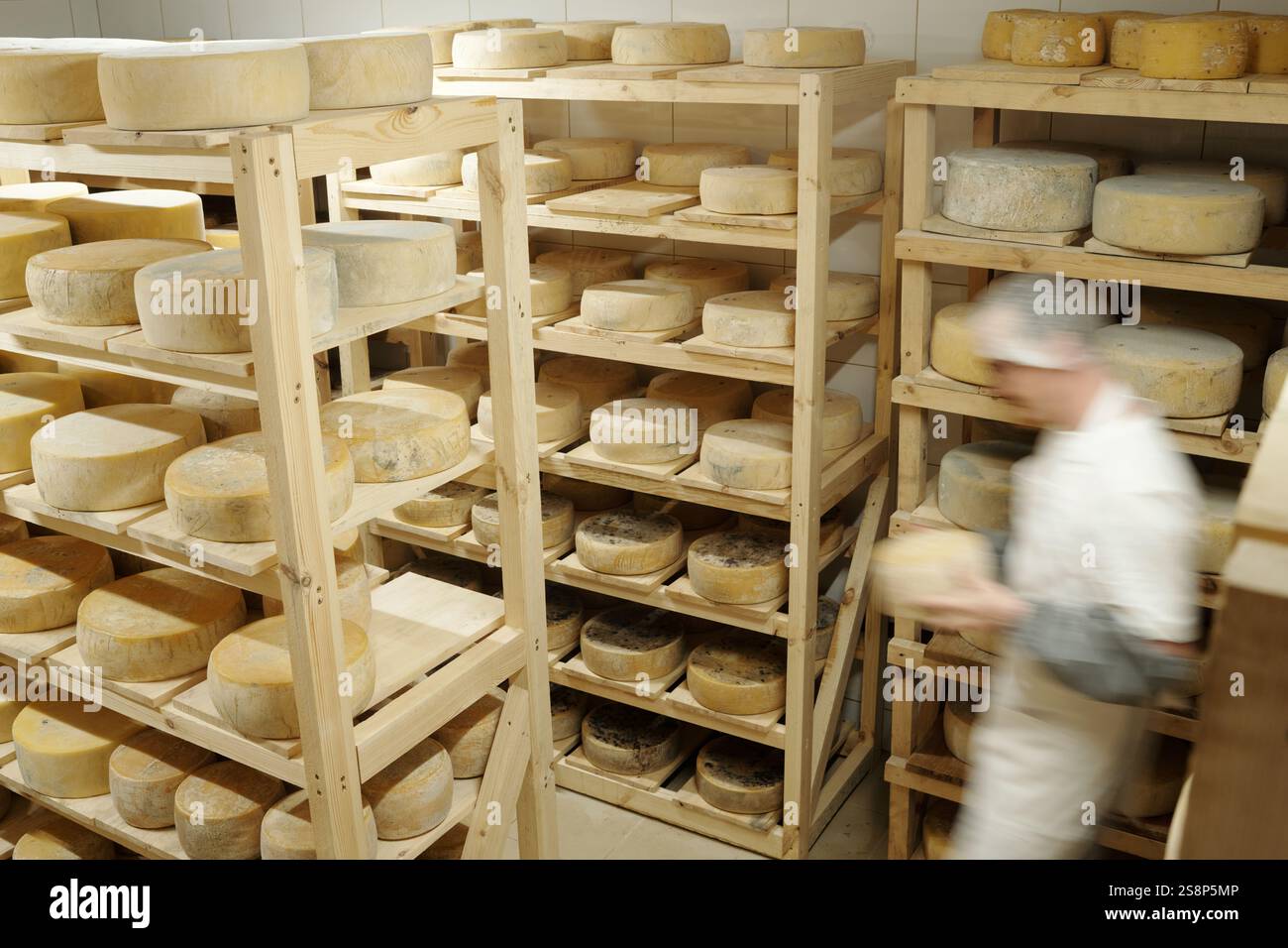 Worker wearing white uniform examining wheels of cheese on wooden ...