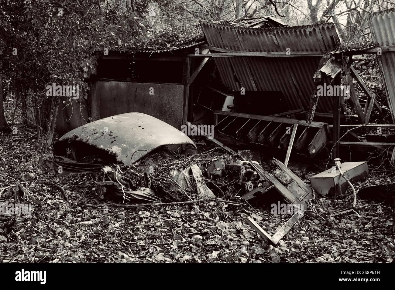 Abandoned wrecked car by a decrepit building in woodland (Black and ...