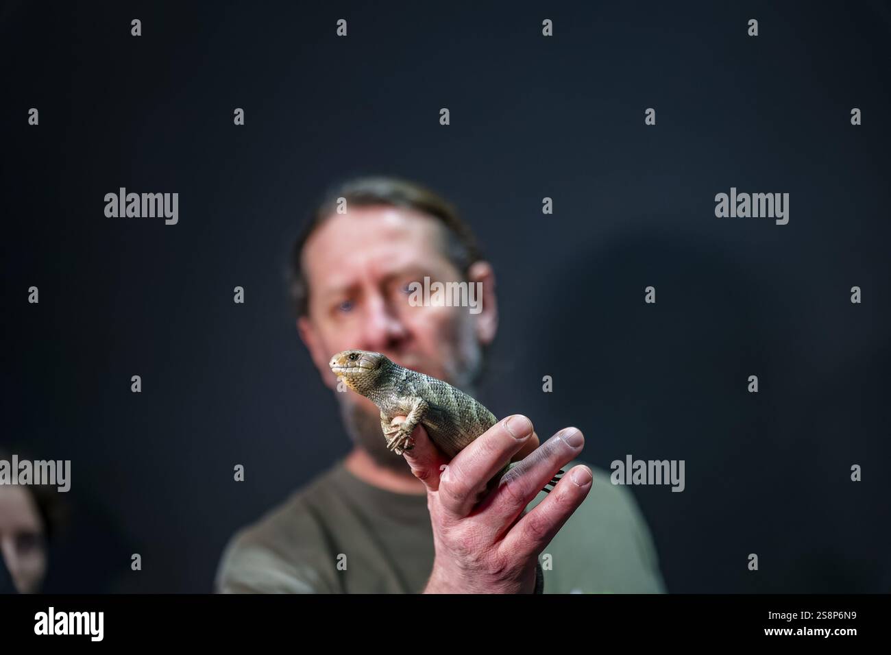 Animal inventory at Dresden Zoo At the turn of the year, all of the zoo ...