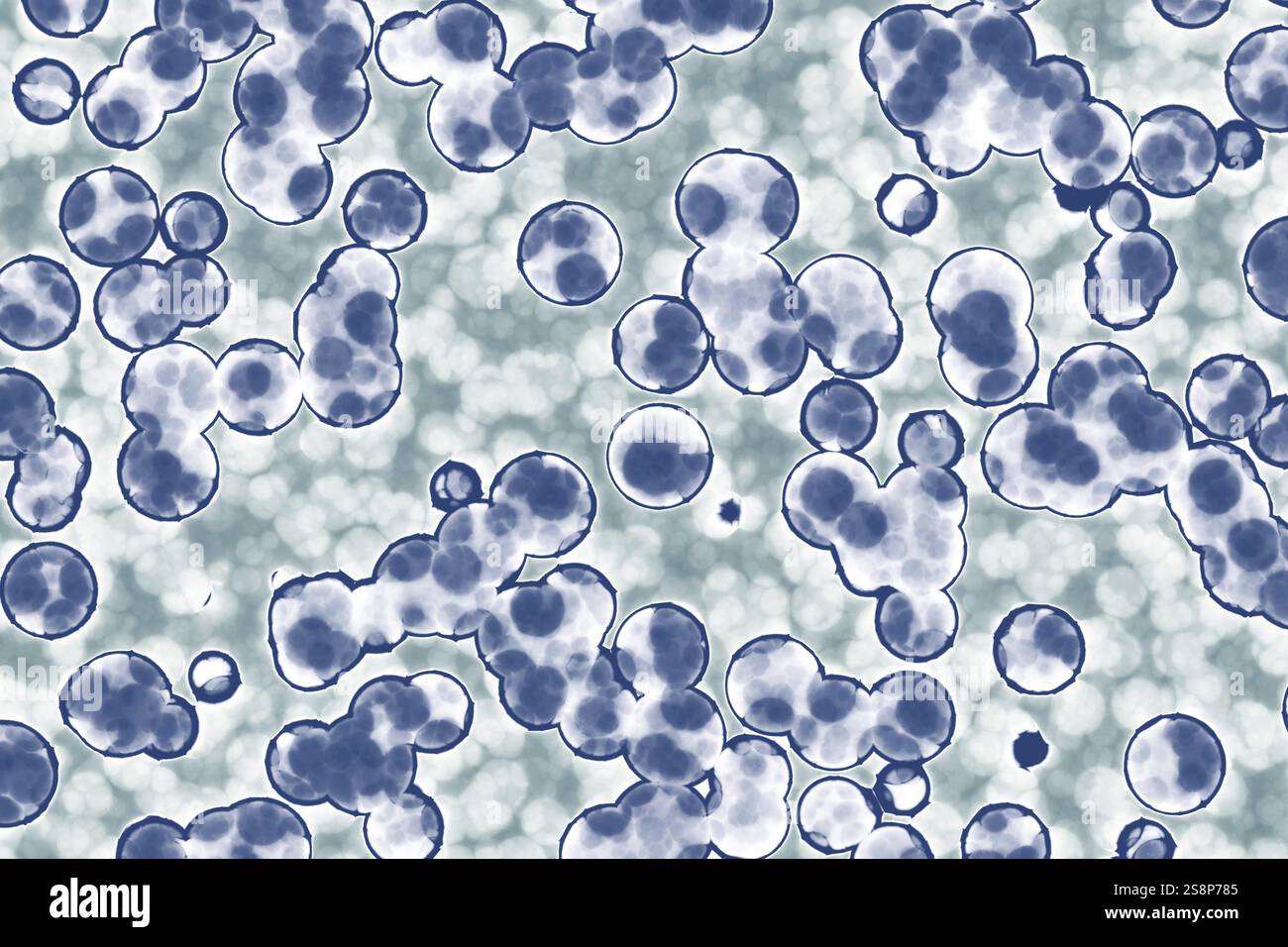 Shape of bacterial cell: cocci, bacilli, spirilla bacteria background ...