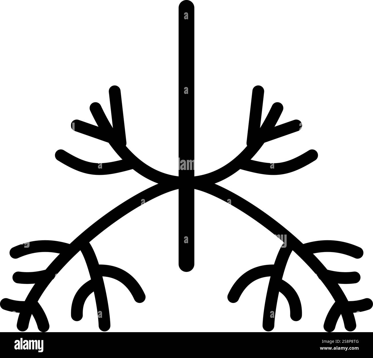 bronchia,human organ,respiratory organ,body anatomy,lungs,infected ...