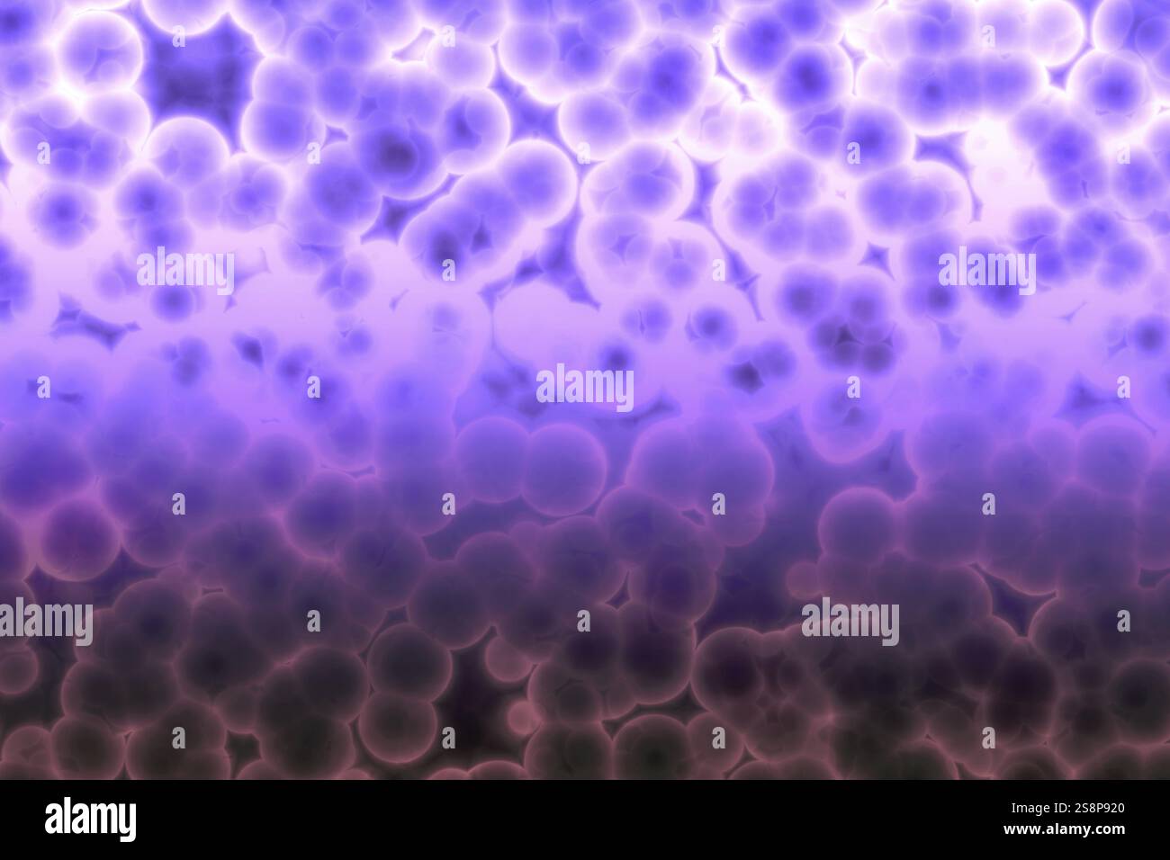 Shape of bacterial cell: cocci, bacilli, spirilla bacteria background ...