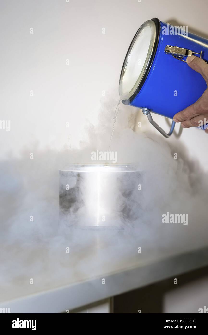 An image of liquid nitrogen at the laboratory Stock Photo - Alamy