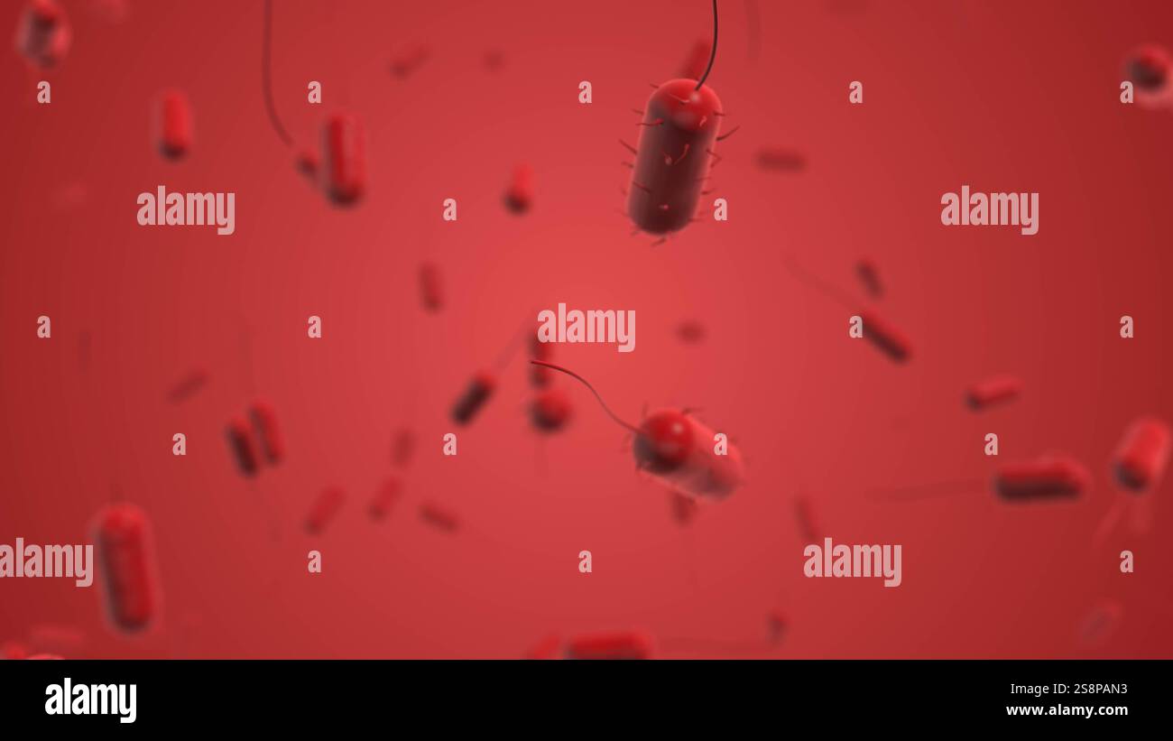 Microscopic view of Red bacteria cells Stock Photo - Alamy