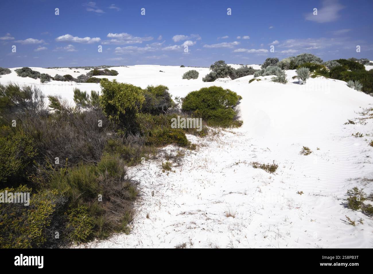 An image of white dune sand scenery western Australia Stock Photo - Alamy