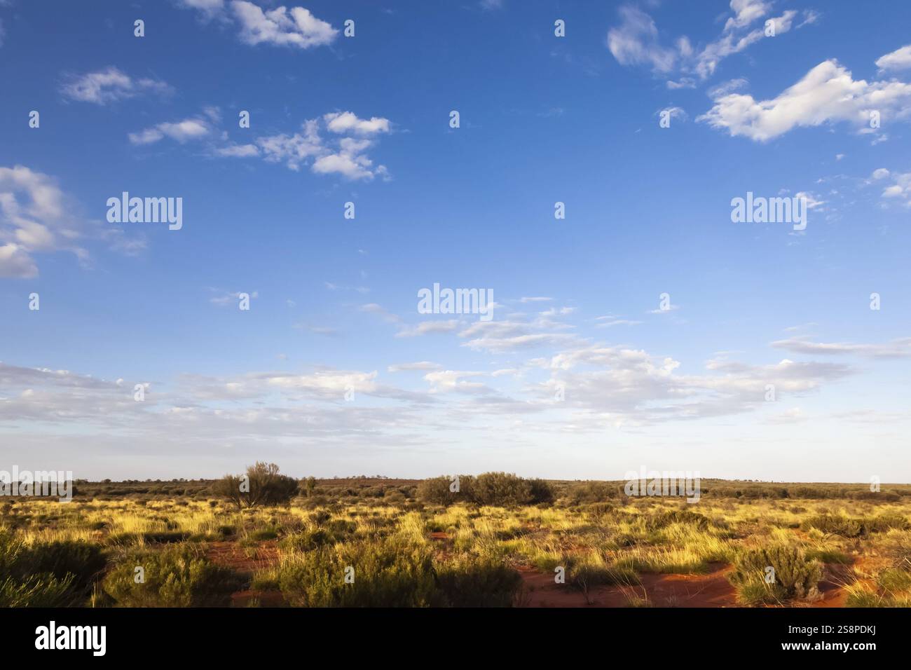 An image of a landscape scenery of the Australia outback Stock Photo ...