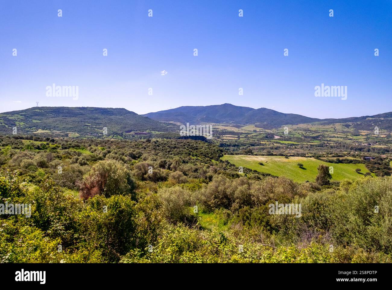 wide landscape meadows and fields, with mountains in the background ...