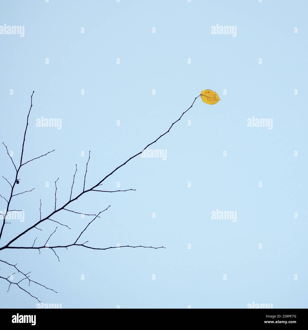 Pictures images season hi-res stock photography and images - Alamy