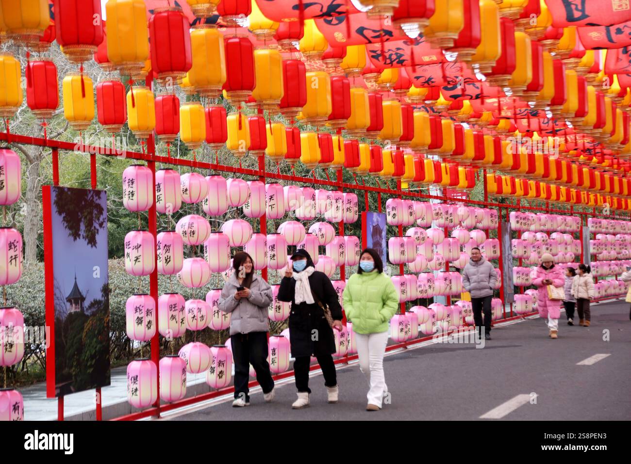 LIANYUNGANG, CHINA - JANUARY 23, 2025 - Tourists view festive lanterns ...