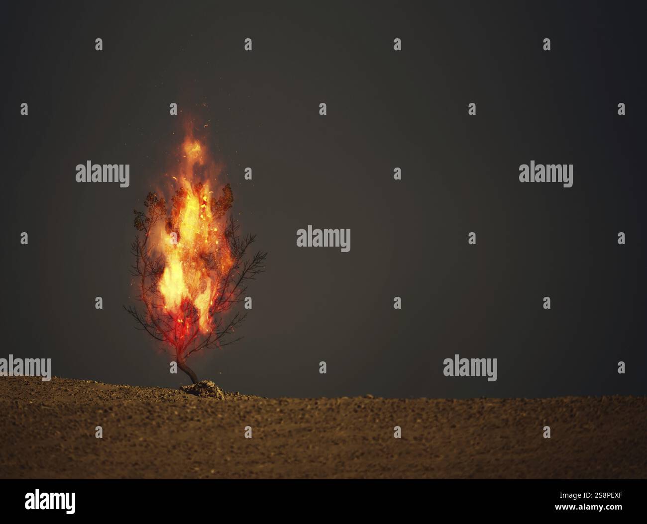 An image of a burning thorn bush christian symbol Stock Photo - Alamy